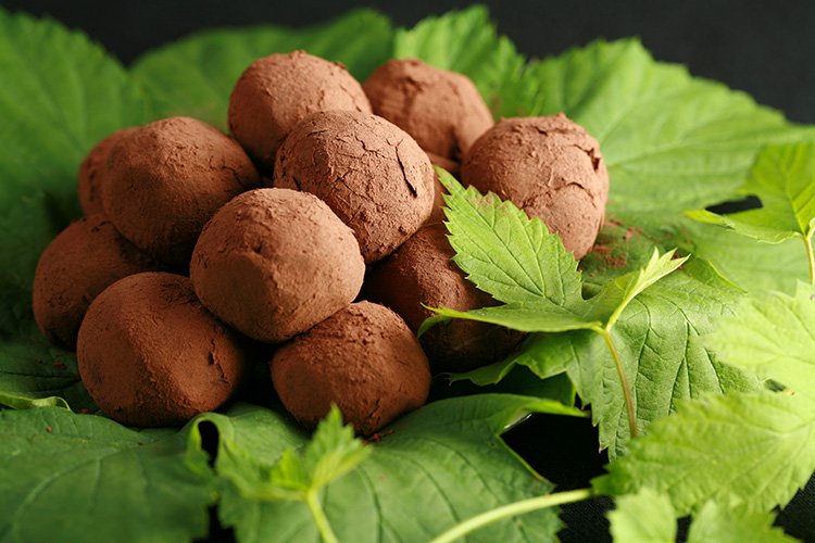 Intriguing Ways to Cook with Hops - Celebration Generation