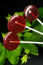 Hop Flavored Beer Lollipops Recipe - LolliHOPS! - Celebration Generation