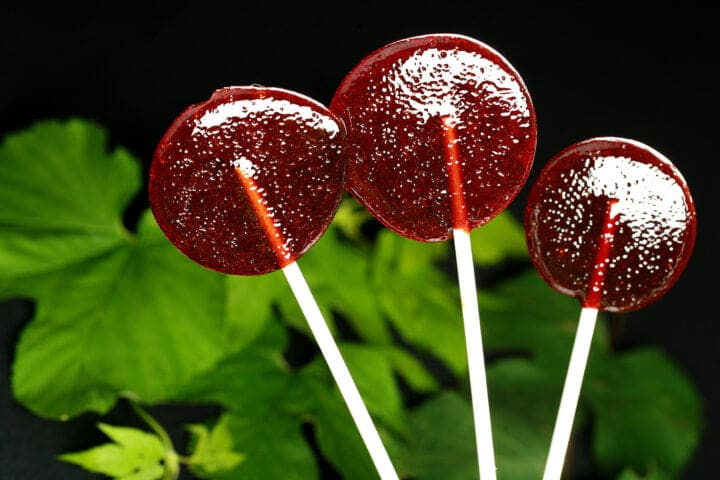 Hop Flavored Beer Lollipops Recipe - LolliHOPS! - Celebration Generation