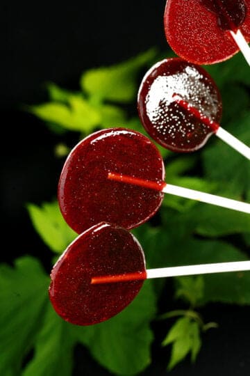 Hop Flavored Beer Lollipops Recipe - LolliHOPS! - Celebration Generation
