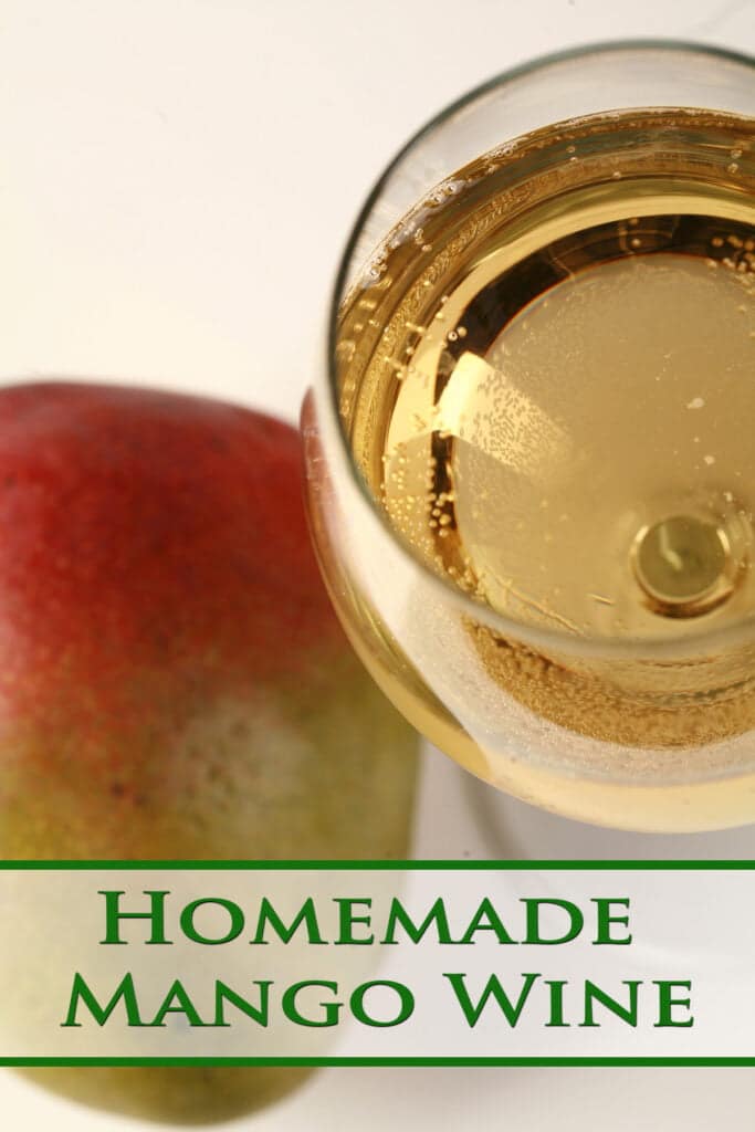 Mango Wine Recipe - Celebration Generation