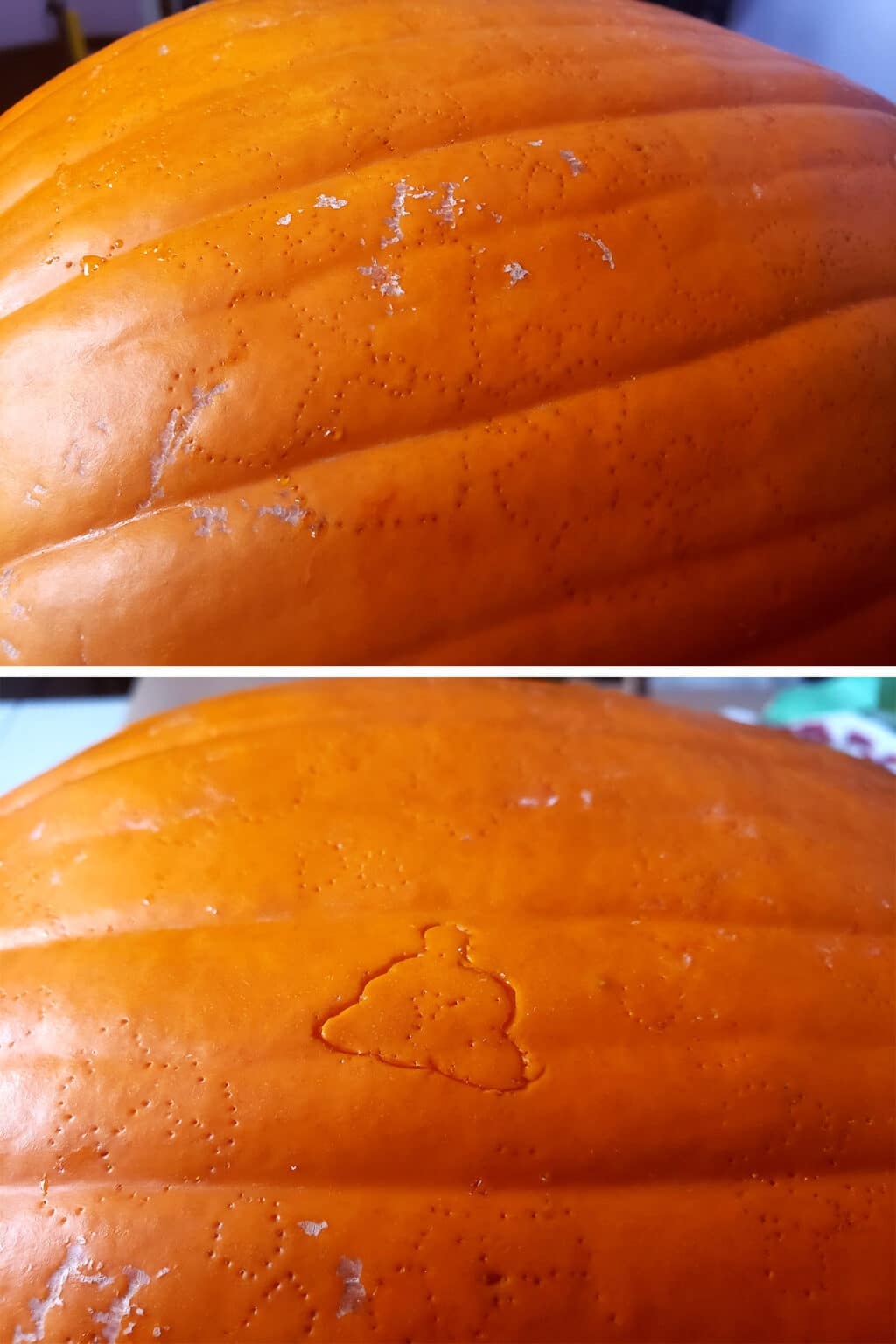 How to Carve a Pumpkin Like a Pro - Celebration Generation