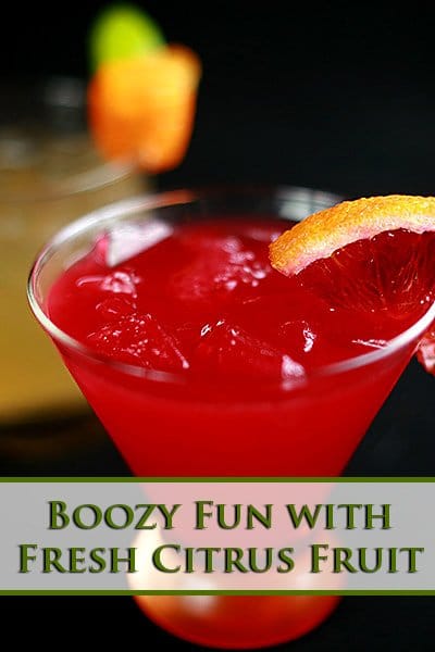 Boozy Fun with Fresh Citrus - Celebration Generation