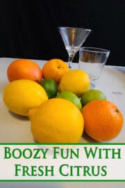 Boozy Fun with Fresh Citrus - Celebration Generation