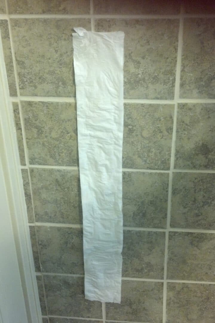 The Toilet Paper Wars - Celebration Generation