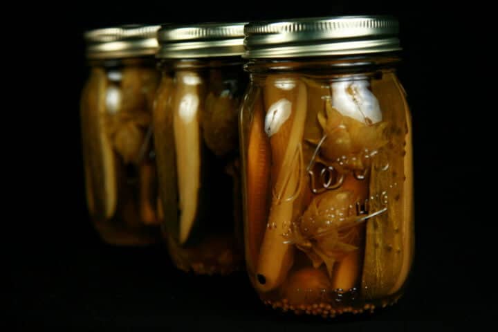 Hoppy IPA Pickles Recipe Recipe - Celebration Generation