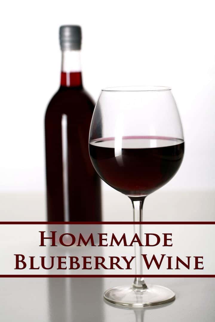 Blueberry Wine Recipe [Fresh or Frozen] - Celebration Generation