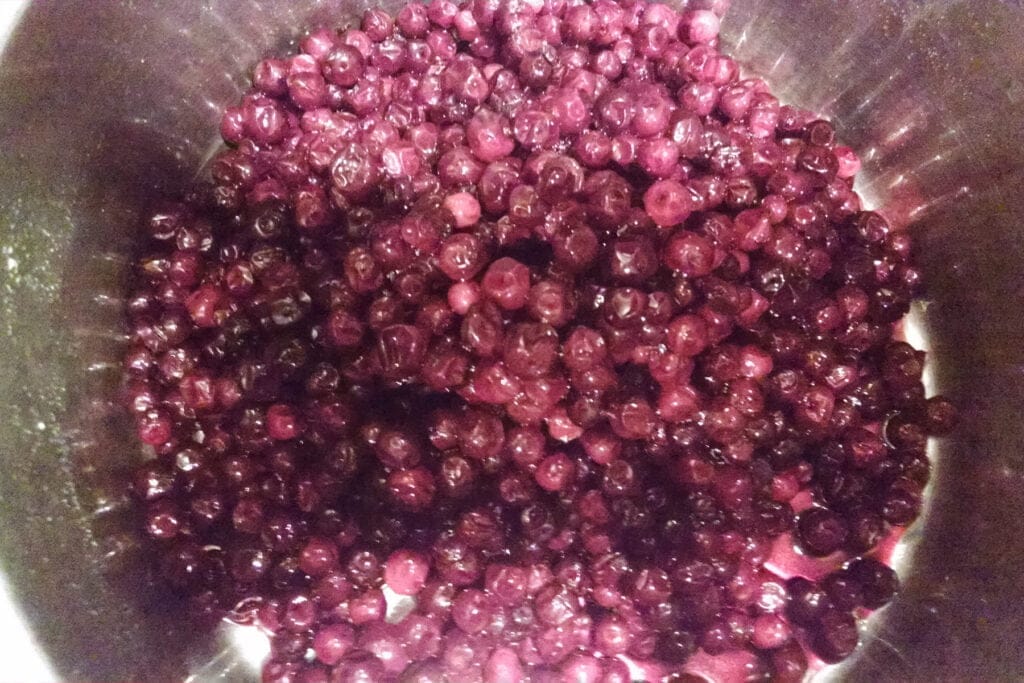 Homemade Partridgeberry Pie Recipe - Celebration Generation