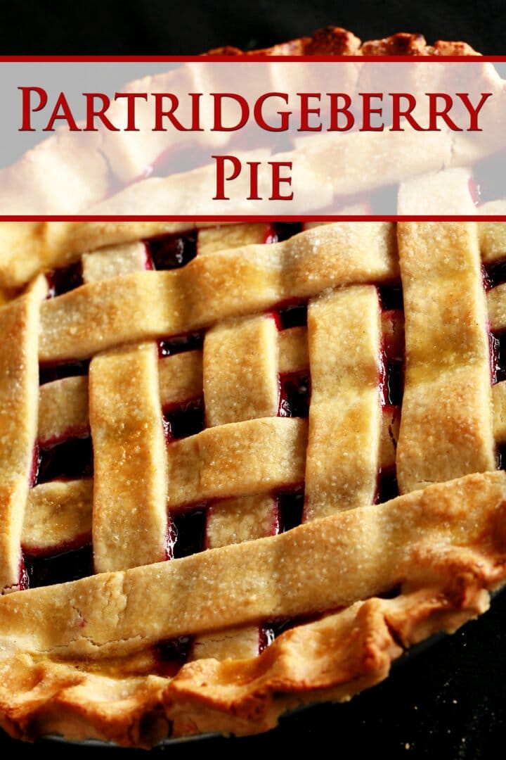 Homemade Partridgeberry Pie Recipe - Celebration Generation