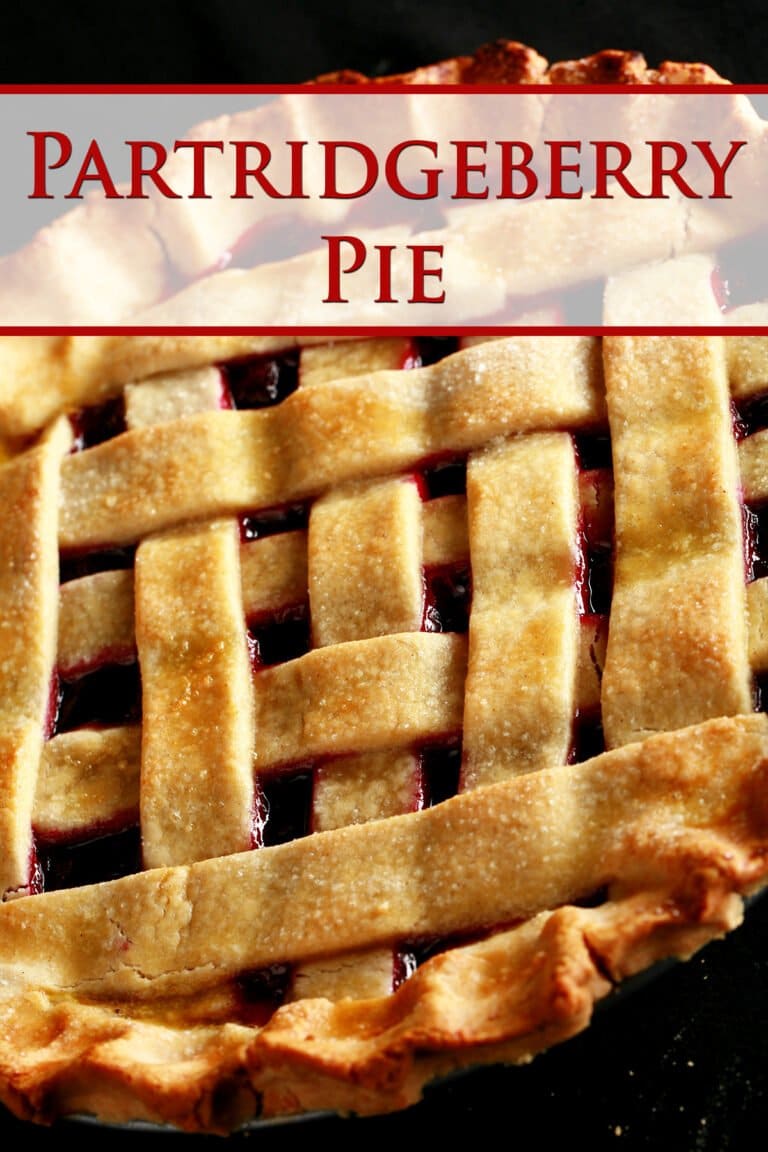 Homemade Partridgeberry Pie Recipe - Celebration Generation