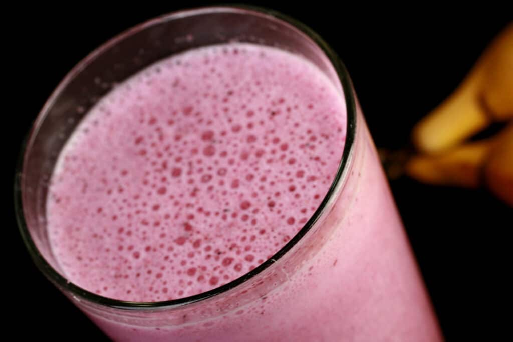 Con Food - Hotel Room Smoothies! - Celebration Generation