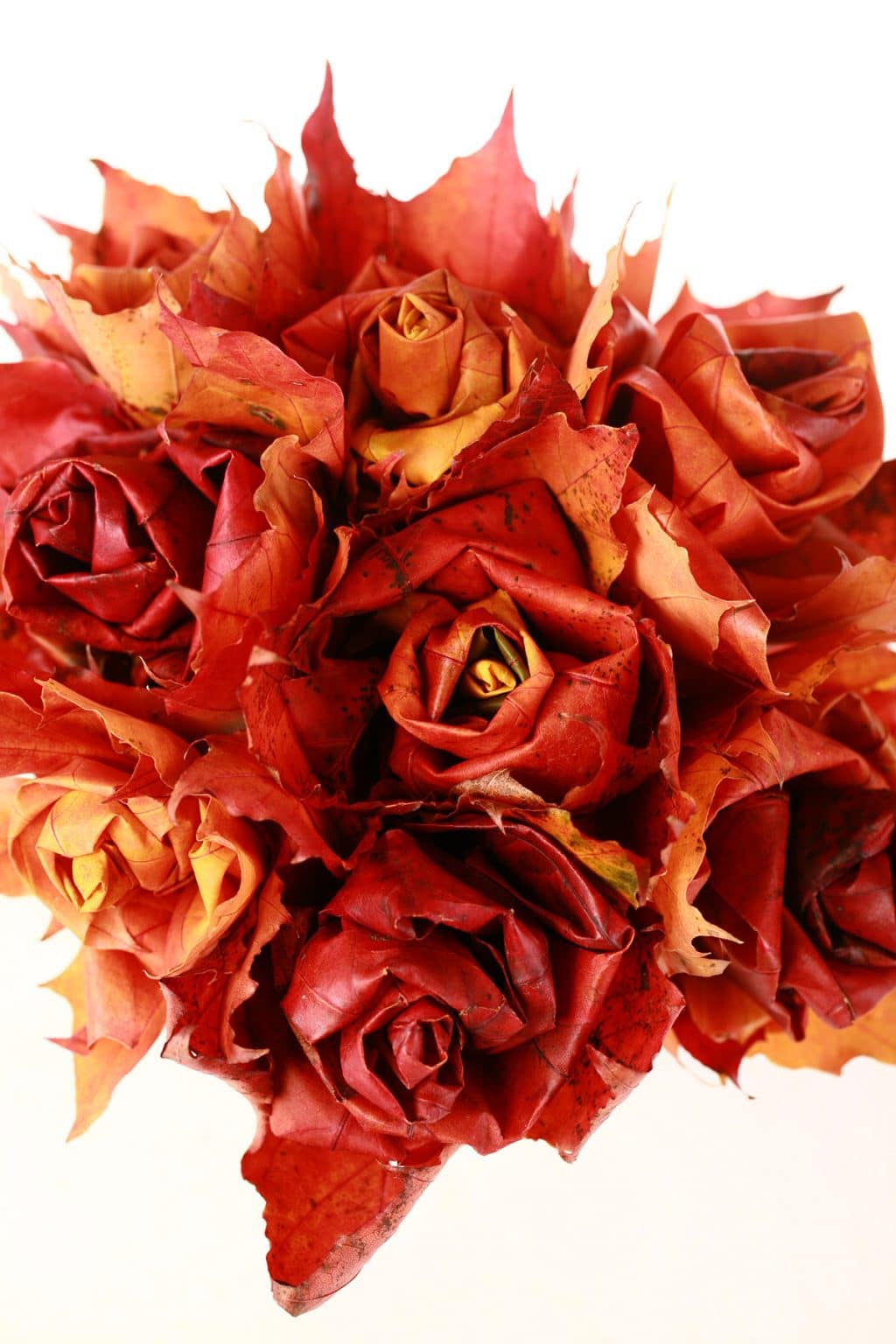 Maple Leaf Roses [A Craft for Fallen Leaves] - Celebration Generation