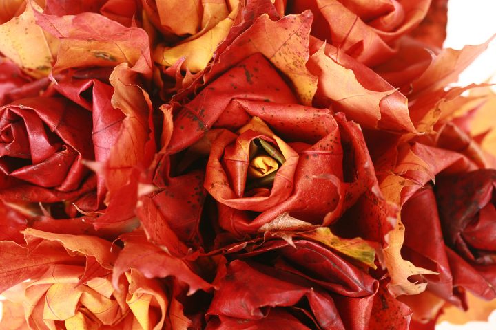 Maple Leaf Roses [A Craft for Fallen Leaves] - Celebration Generation