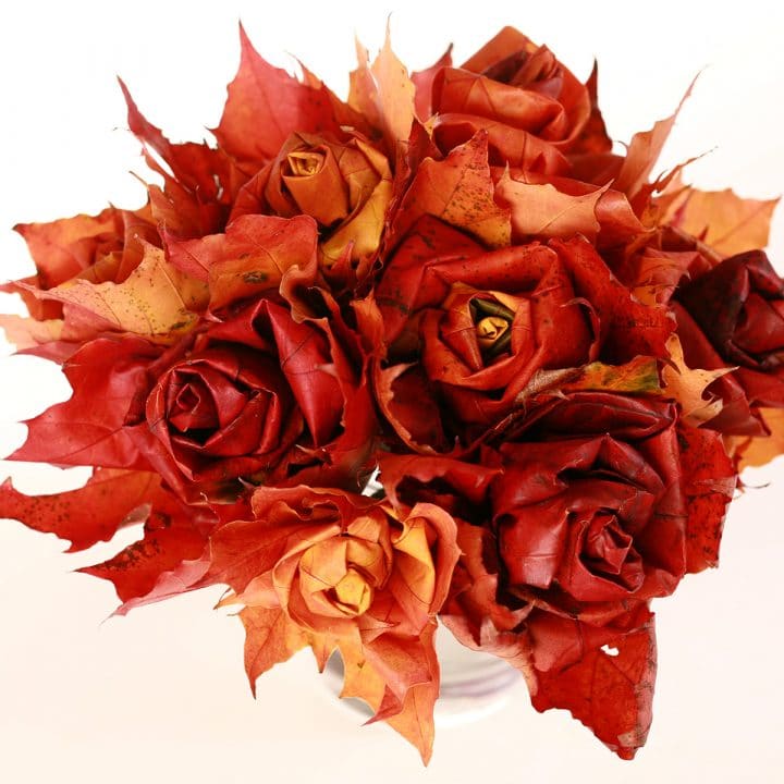 Maple Leaf Roses [A Craft for Fallen Leaves] - Celebration Generation