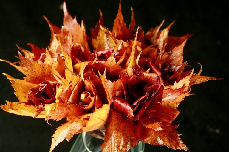 Maple Leaf Roses [A Craft for Fallen Leaves] - Celebration Generation