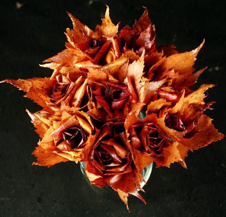 Maple Leaf Roses [A Craft for Fallen Leaves] - Celebration Generation
