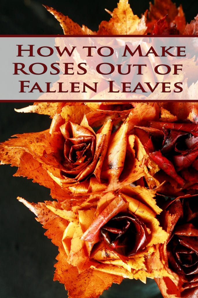 Maple Leaf Roses [A Craft for Fallen Leaves] - Celebration Generation
