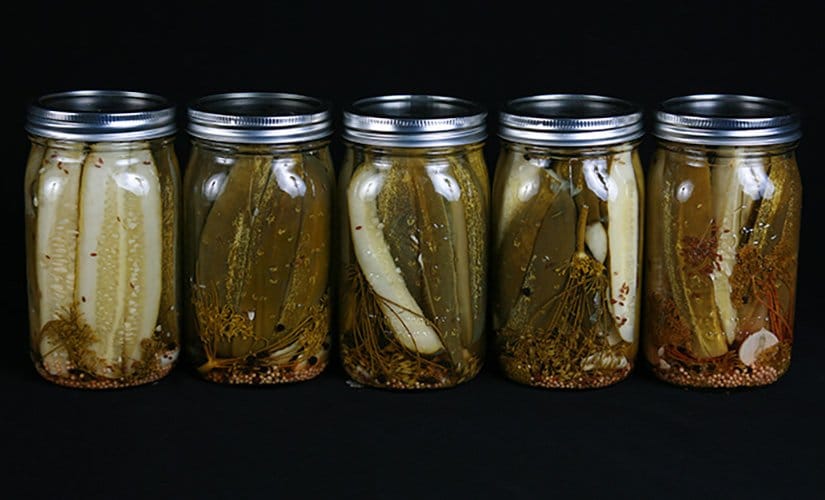 13 Fantastic Pickling & Canning Recipes - Celebration Generation