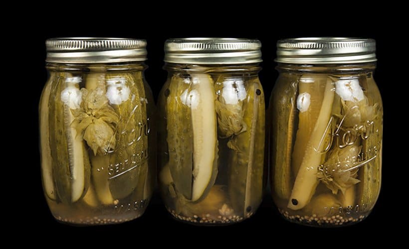 Intriguing Ways to Cook with Hops - Celebration Generation