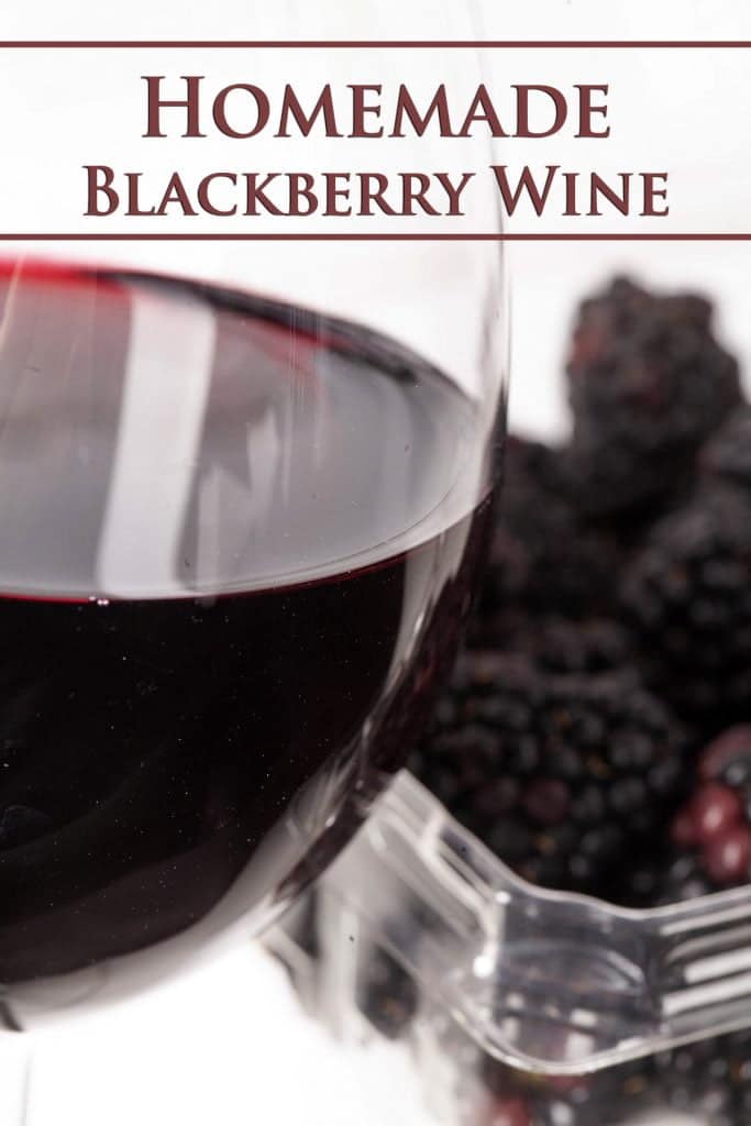 Blackberry Wine Recipe [Fresh or Frozen] - Celebration Generation