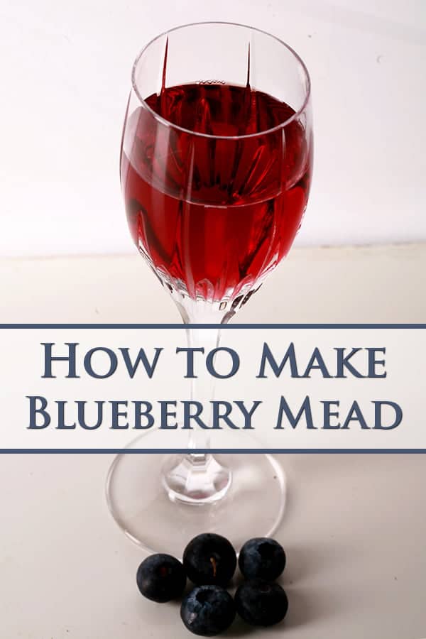 Homemade Blueberry Mead Recipe - Celebration Generation