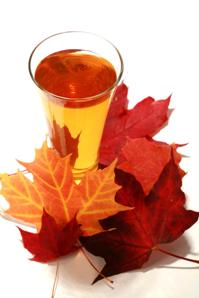Maple Hard Apple Cider Recipe - Celebration Generation