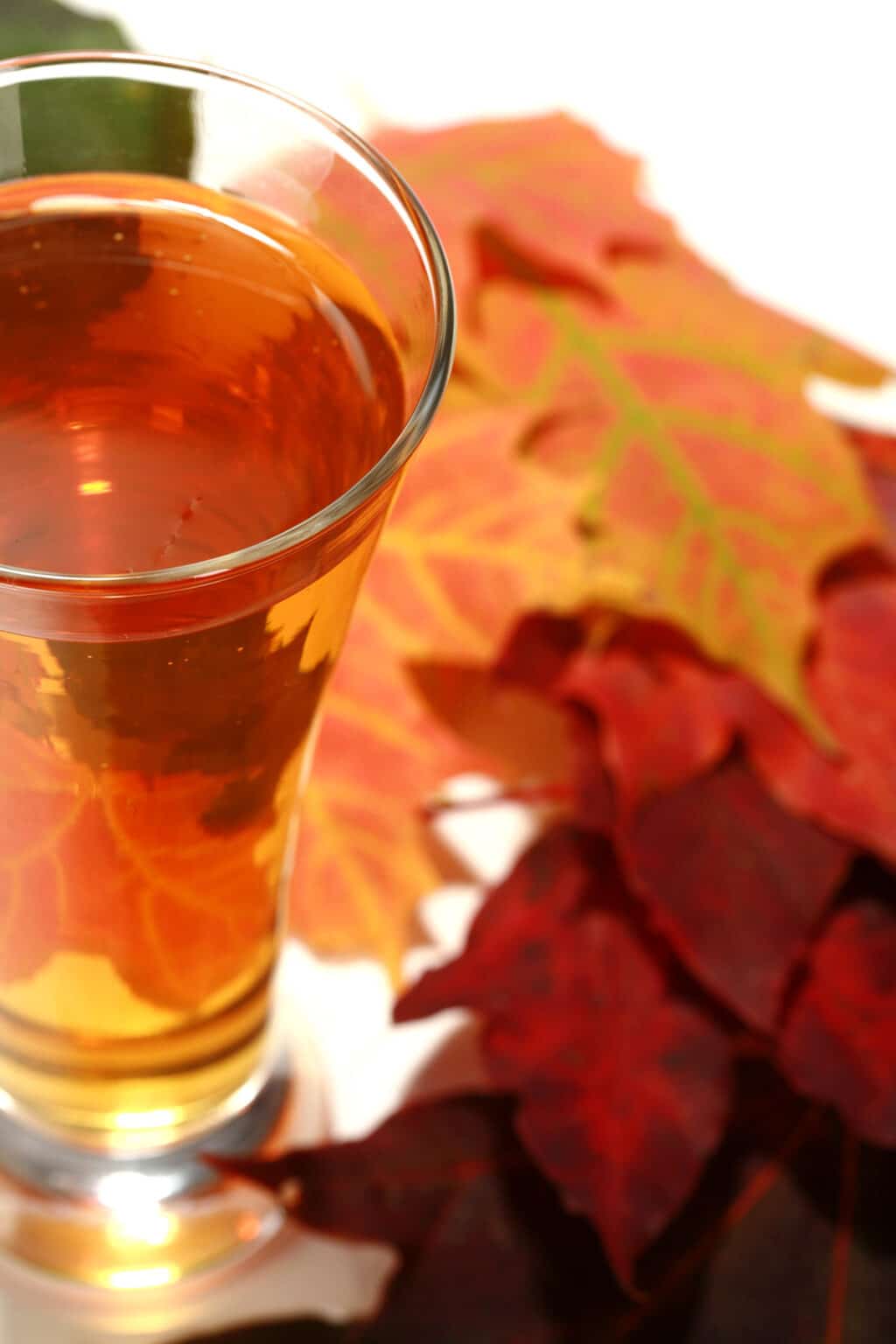 Maple Hard Apple Cider Recipe - Celebration Generation