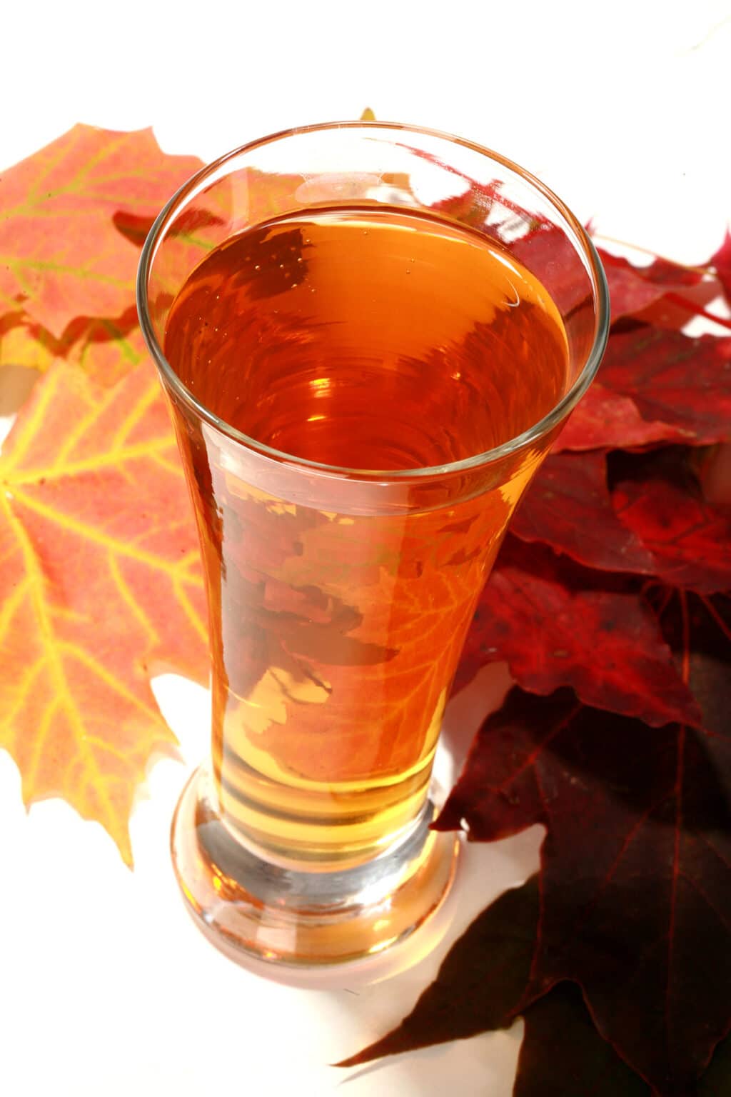 Maple Hard Apple Cider Recipe - Celebration Generation