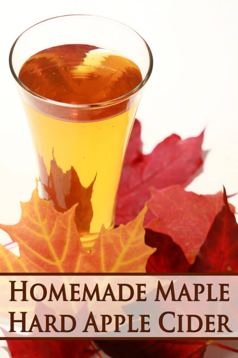 Maple Hard Apple Cider Recipe - Celebration Generation