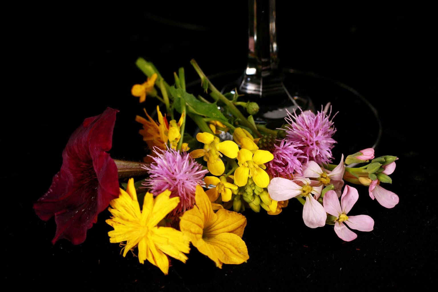 Wildflower Mead Recipe - Celebration Generation