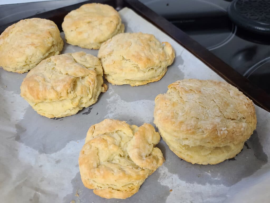 Easy Baking Powder Biscuits Recipe - Celebration Generation