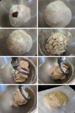 Marble Rye Bagels - Celebration Generation