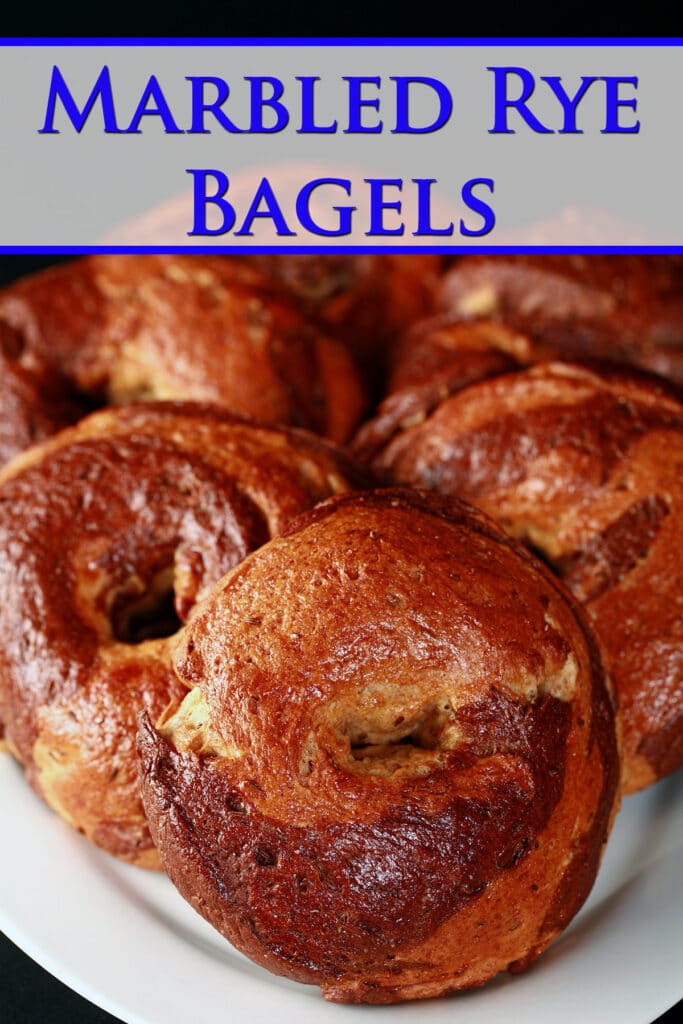 Marble Rye Bagels - Celebration Generation