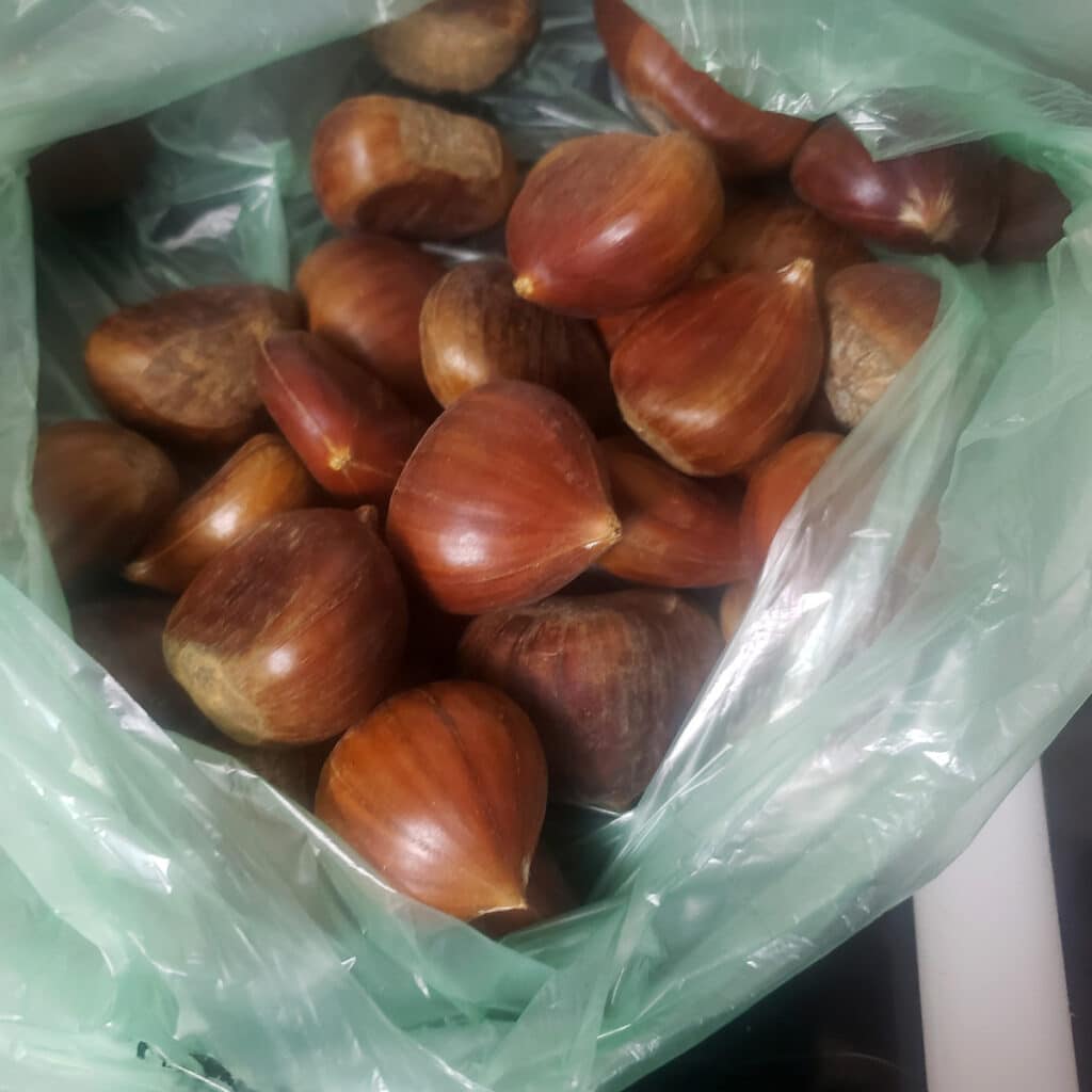 How to Roast Chestnuts [Oven Roasted] - Celebration Generation