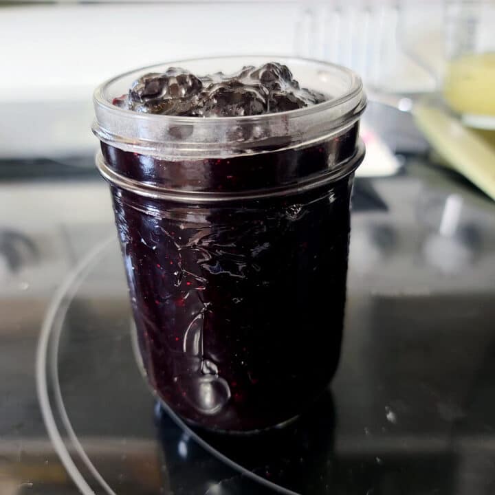 Small Batch Blueberry Jam Recipe - Celebration Generation