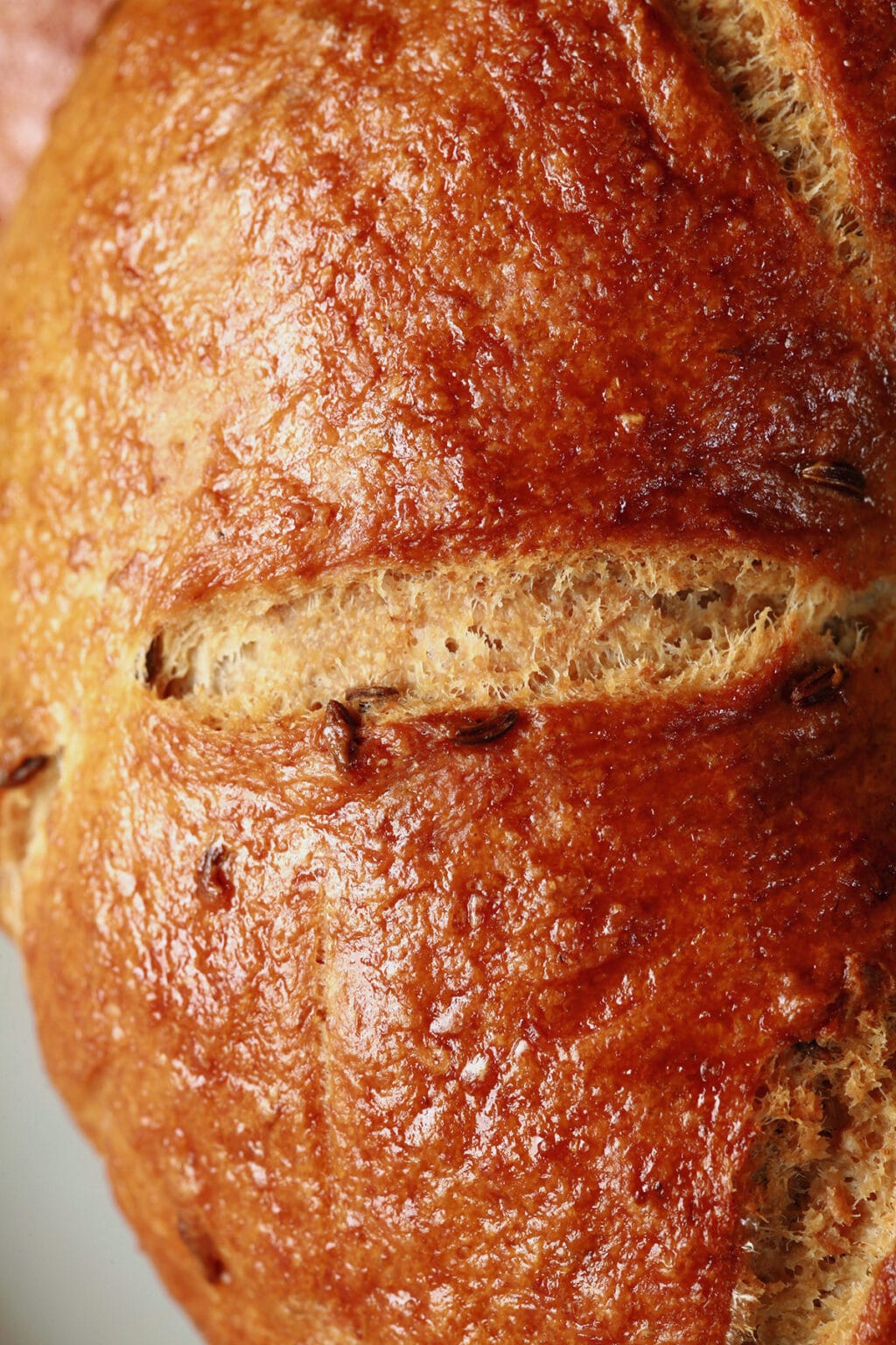Rye Bagels with Caraway Seeds - Celebration Generation