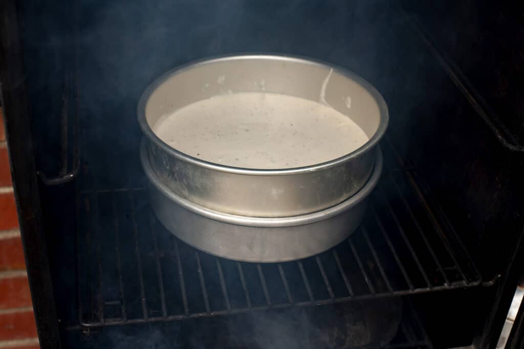 Smoked Mayo [Cold Smoked Mayonnaise] - Celebration Generation