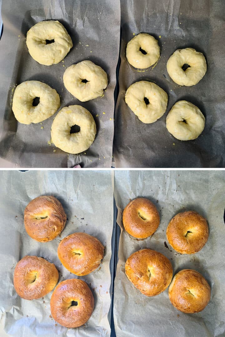 Paska Bagels Recipe - Easter Citrus Bagel - Celebration Generation
