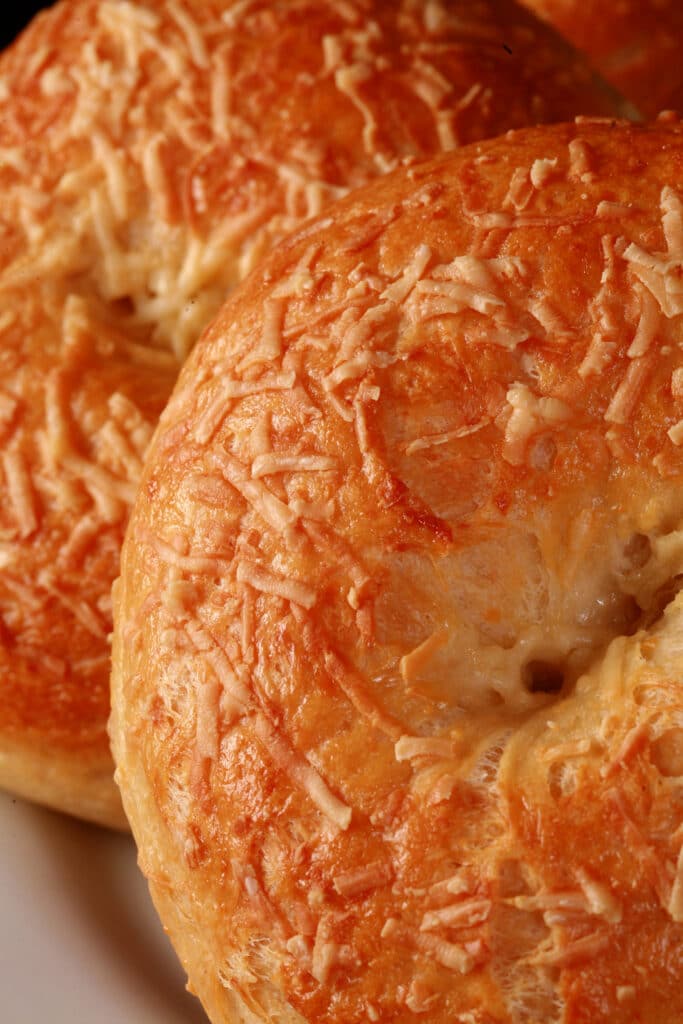 Roasted Garlic Asiago Bagels Recipe - Celebration Generation
