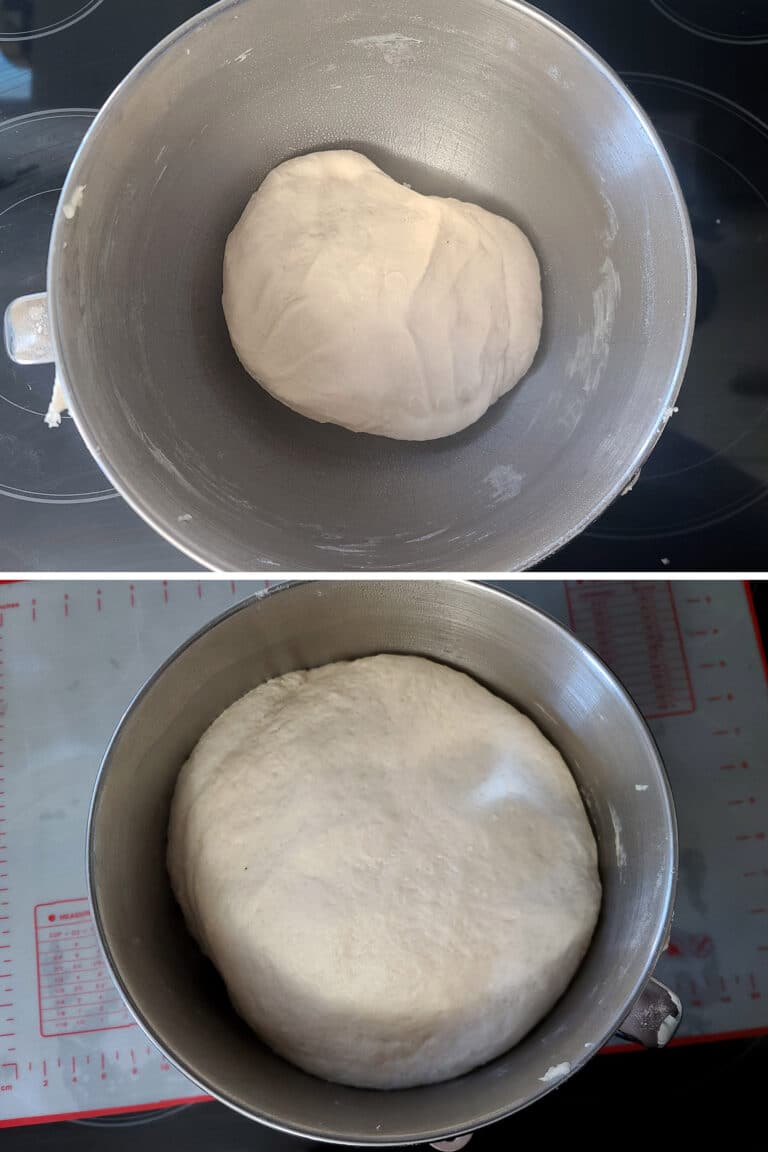 Roasted Garlic Asiago Bagels Recipe - Celebration Generation